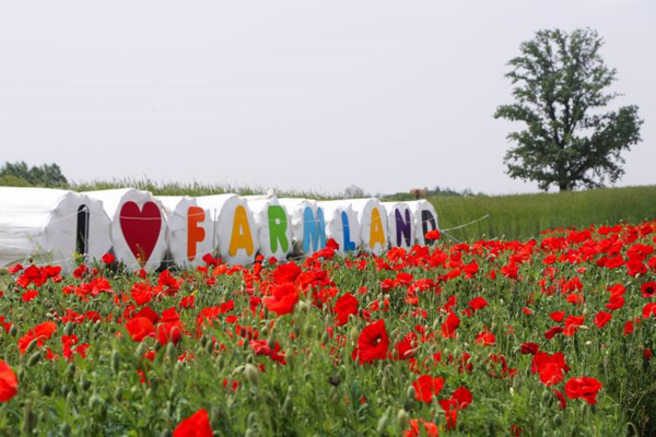 여기 가봤어? 안성 팜랜드!